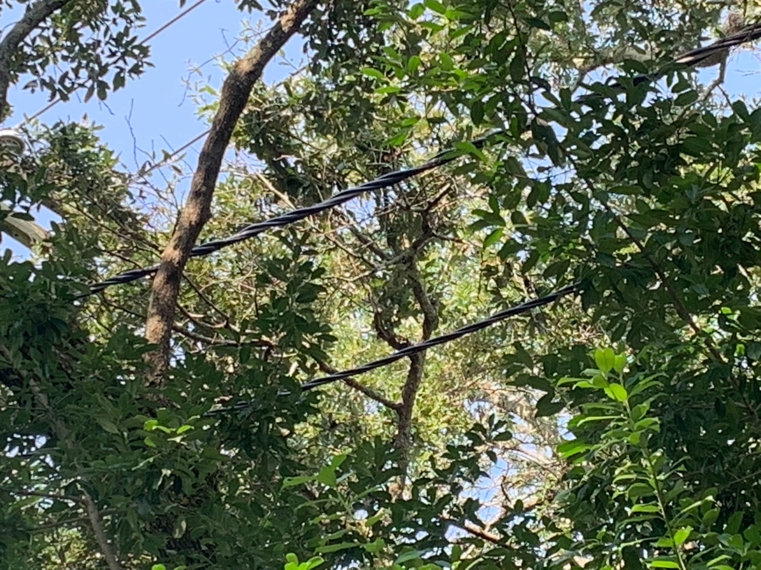 Outdoor Electrical Problems - The 7 Most Common Issues